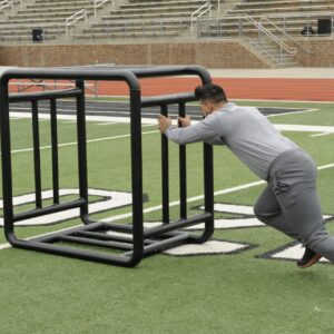 CLASSIC TWO MAN PAN SLED – Rae Crowther