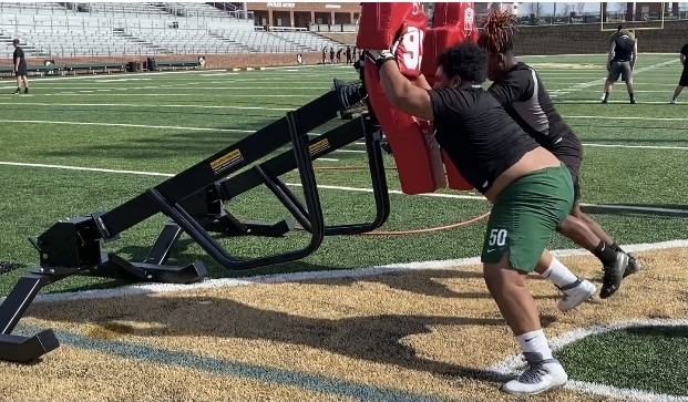 Z Leverage Sled – Rae Crowther