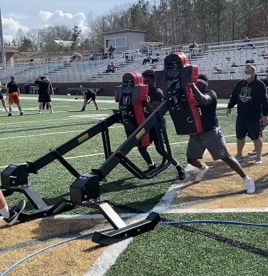 Z LEVERAGE SLED - Rae Crowther