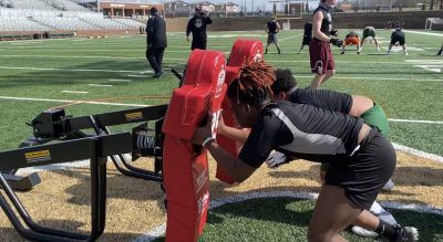 Z Leverage Sled – Rae Crowther